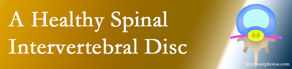 What Is A Healthy Intervertebral Disc of The Fernandina Beach Spine ...